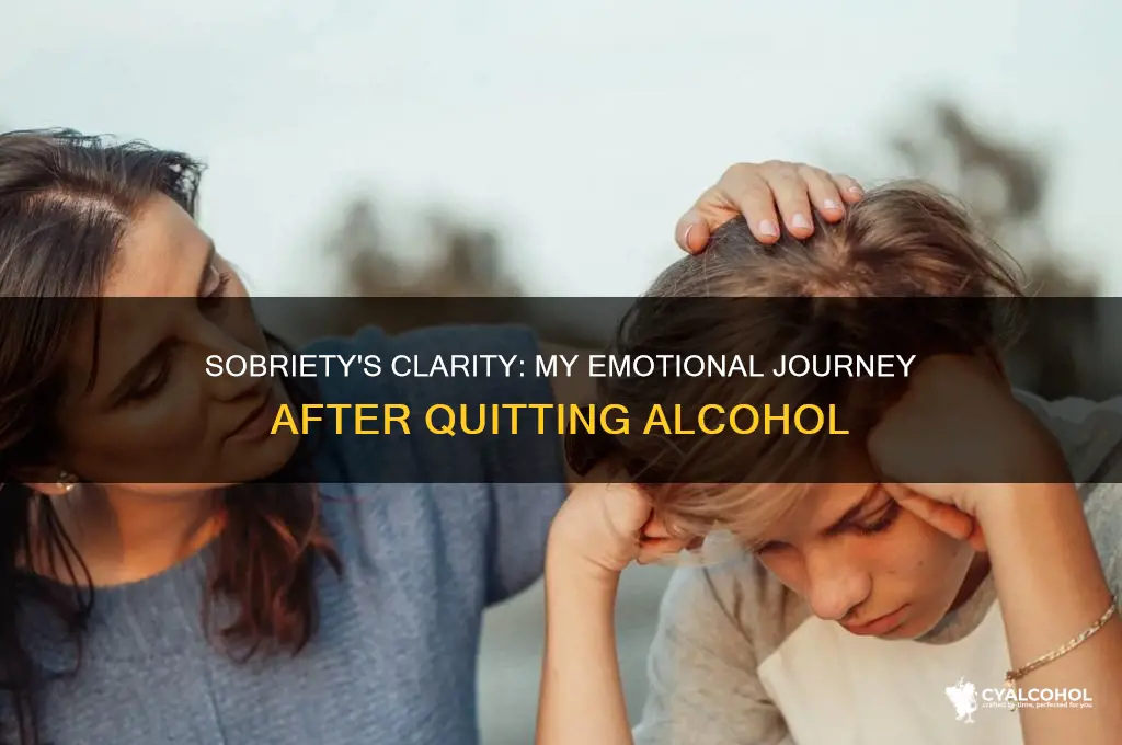 Sobriety's Clarity: My Emotional Journey After Quitting Alcohol | CyAlcohol