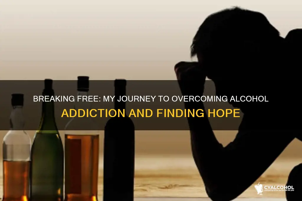 Breaking Free: My Journey To Overcoming Alcohol Addiction And Finding ...