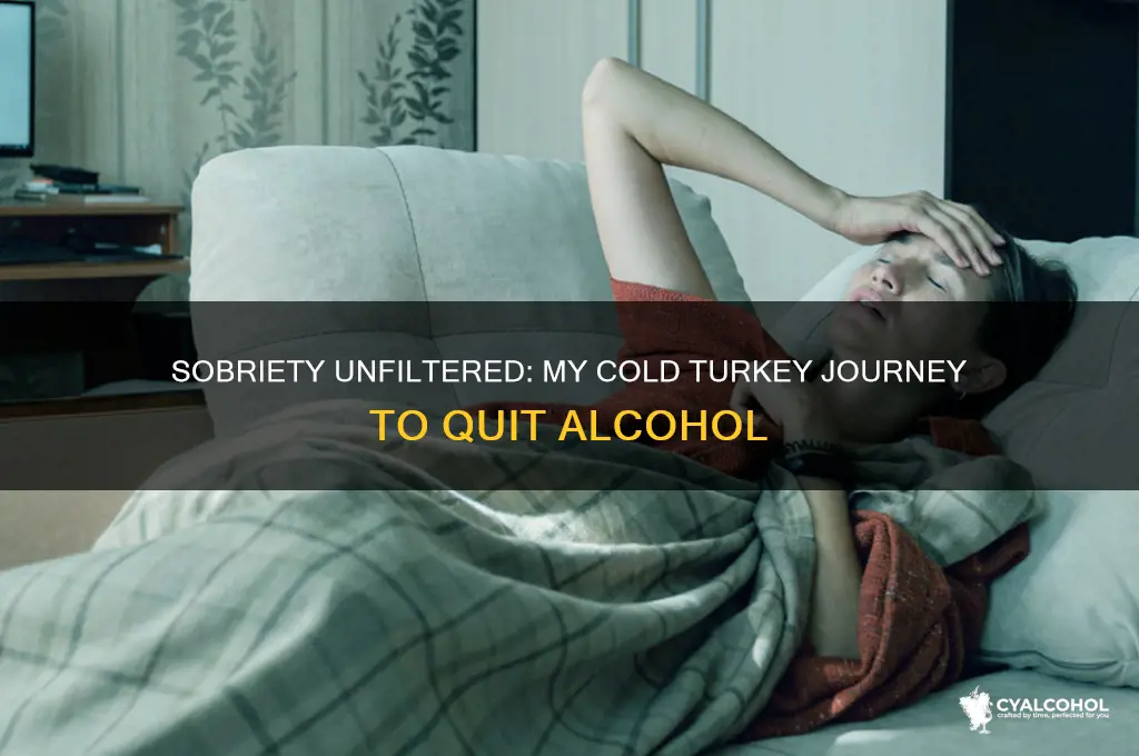 Sobriety Unfiltered: My Cold Turkey Journey To Quit Alcohol | CyAlcohol