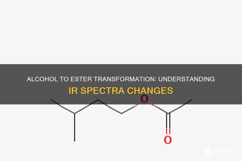 Alcohol To Ester Transformation: Understanding Ir Spectra Changes ...