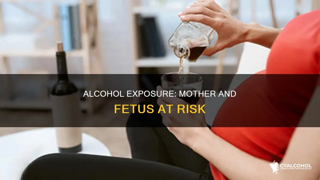 Alcohol Exposure: Mother And Fetus At Risk | CyAlcohol