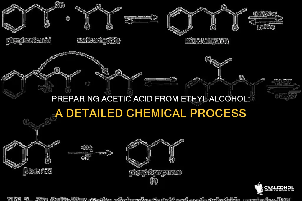 Preparing Acetic Acid From Ethyl Alcohol: A Detailed Chemical Process ...