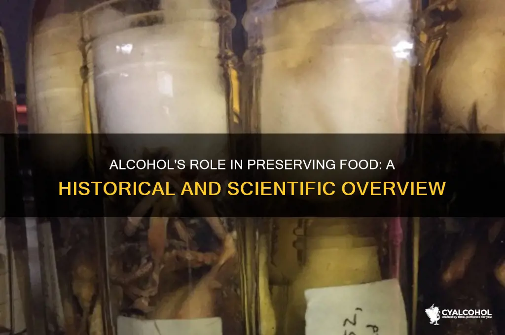 Alcohol's Role In Preserving Food: A Historical And Scientific Overview ...