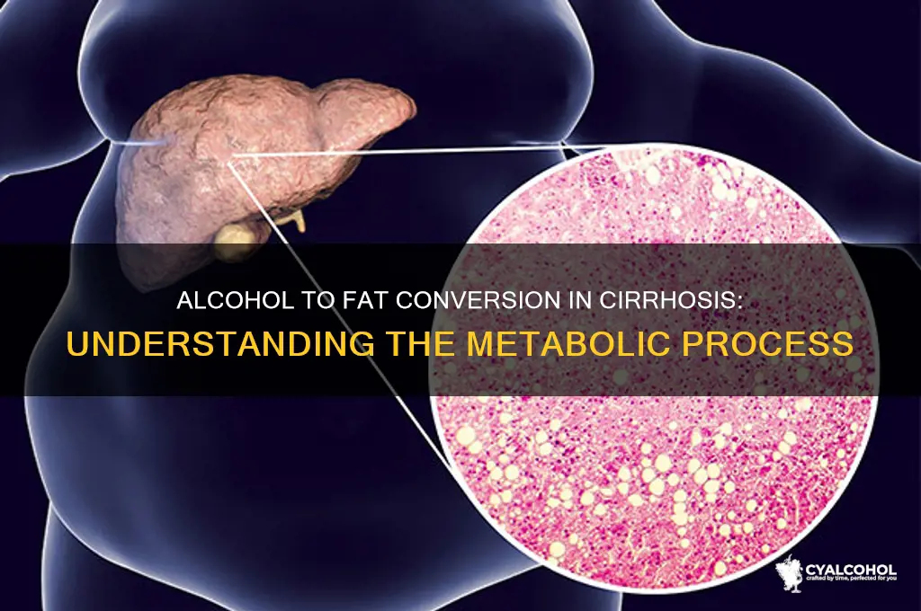 Alcohol To Fat Conversion In Cirrhosis: Understanding The Metabolic ...