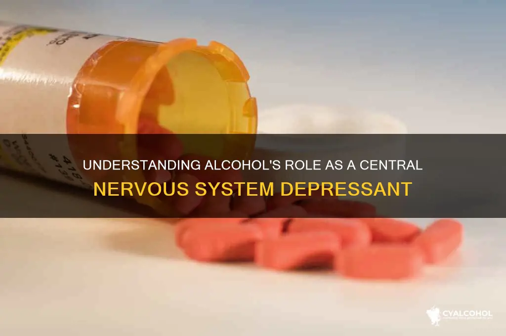 Understanding Alcohol's Role As A Central Nervous System Depressant ...