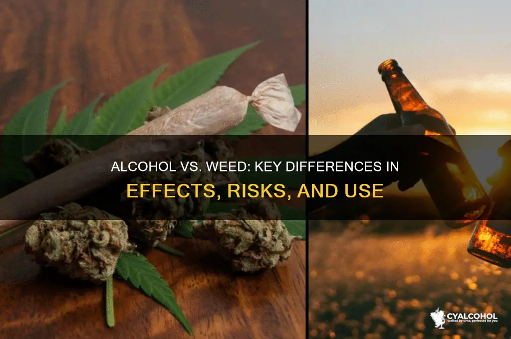 Alcohol Vs. Weed: Key Differences In Effects, Risks, And Use | CyAlcohol