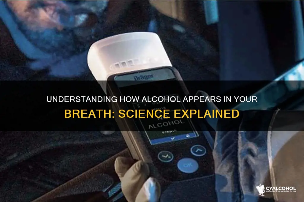 Understanding How Alcohol Appears In Your Breath: Science Explained ...