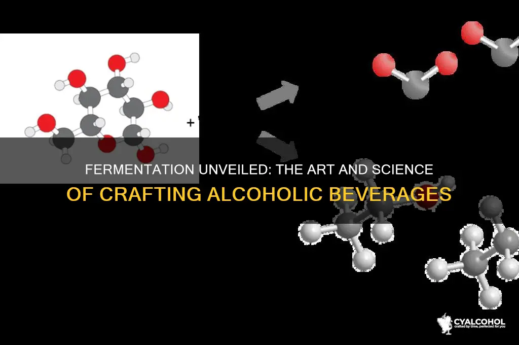 Fermentation Unveiled: The Art And Science Of Crafting Alcoholic ...