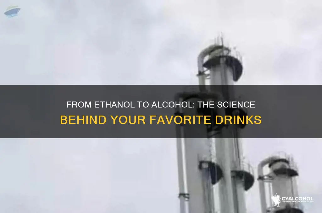 From Ethanol To Alcohol: The Science Behind Your Favorite Drinks ...