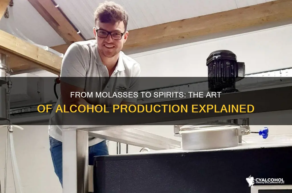 From Molasses To Spirits: The Art Of Alcohol Production Explained ...