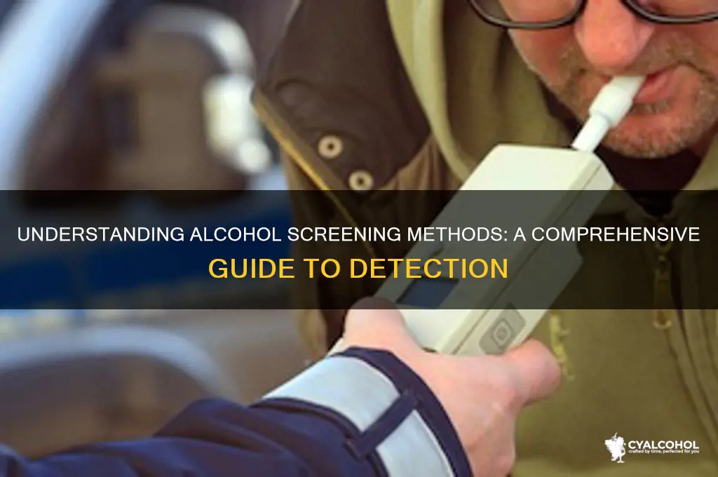 Understanding Alcohol Screening Methods: A Comprehensive Guide To ...