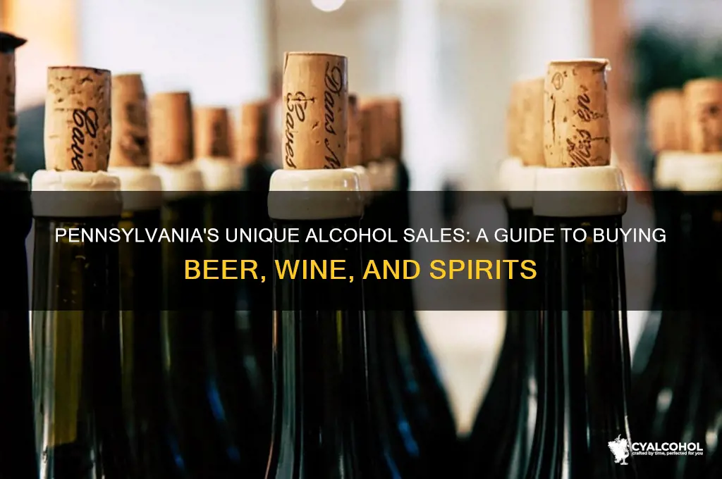 Pennsylvania's Unique Alcohol Sales: A Guide To Buying Beer, Wine, And ...