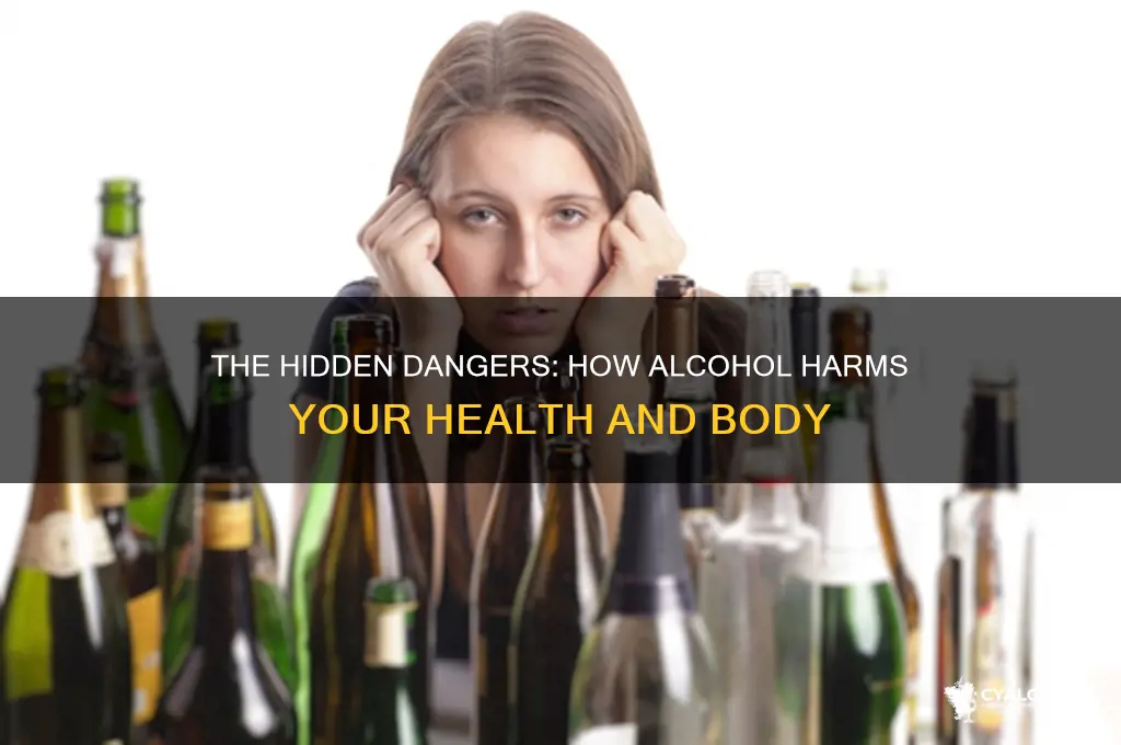 The Hidden Dangers: How Alcohol Harms Your Health And Body | CyAlcohol