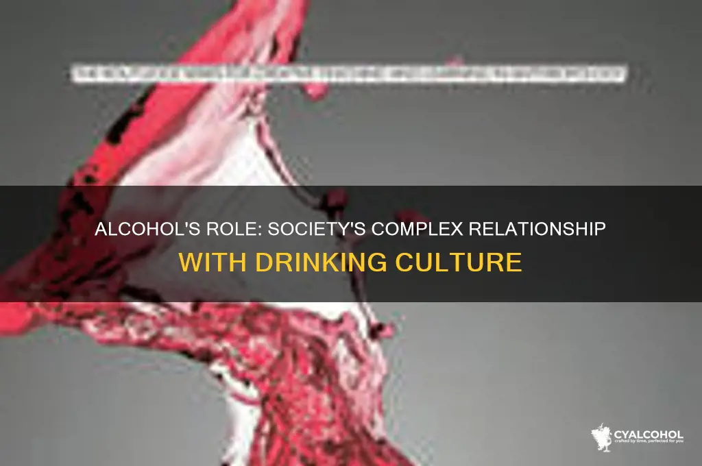 Alcohol's Role: Society's Complex Relationship With Drinking Culture ...
