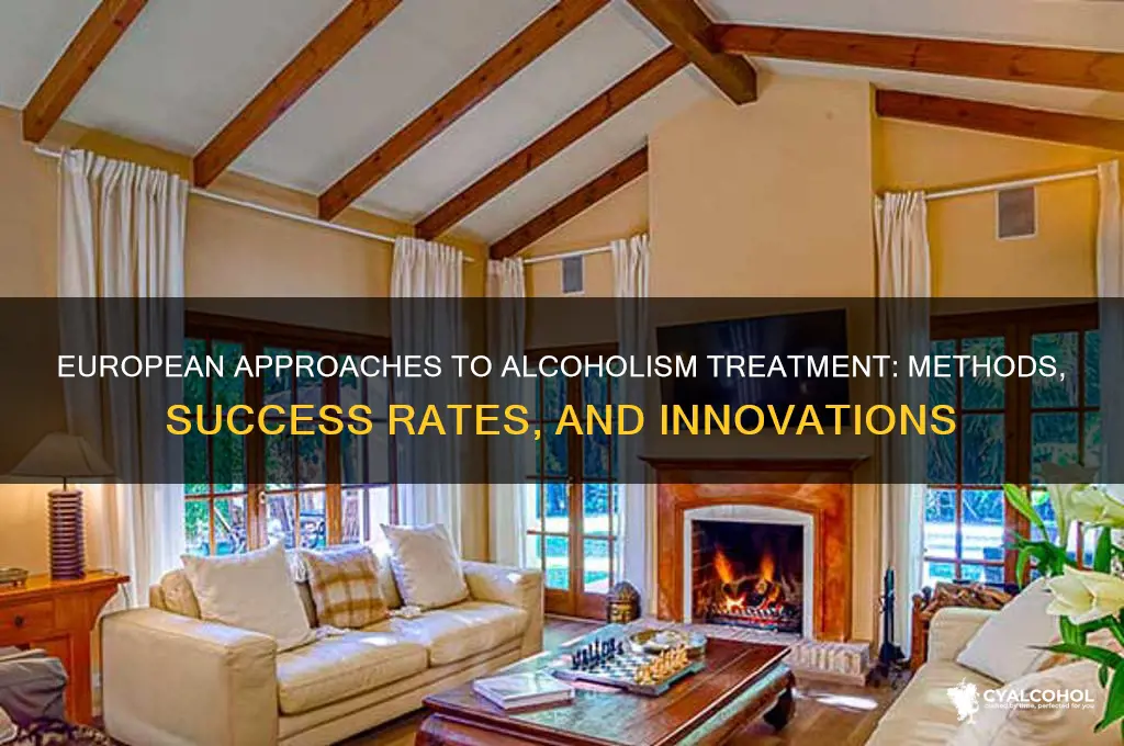European Approaches To Alcoholism Treatment: Methods, Success Rates ...