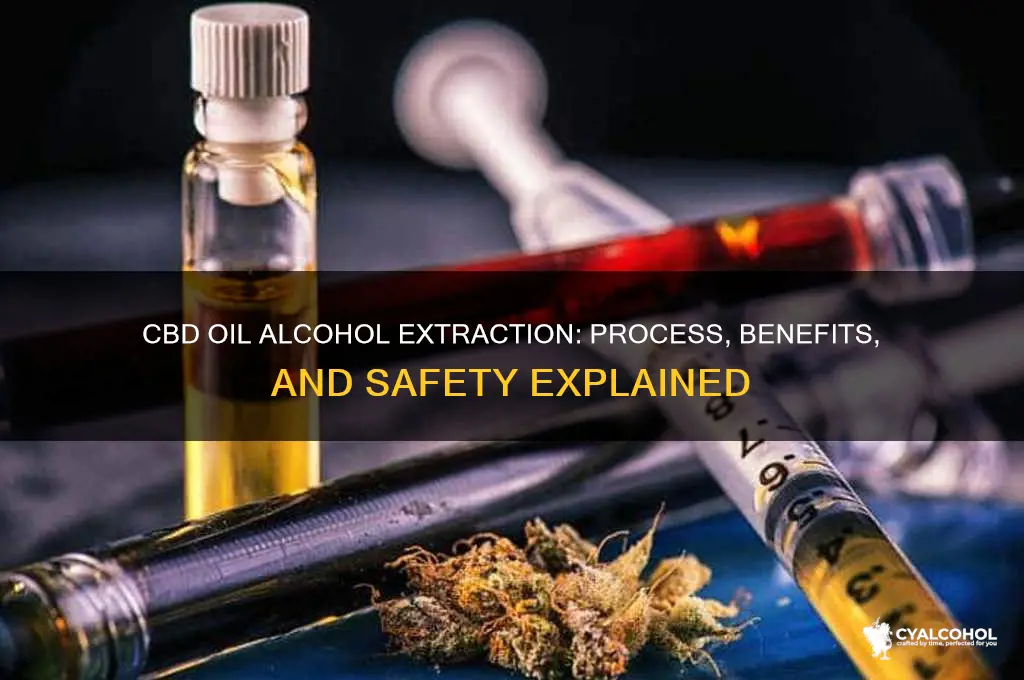 Cbd Oil Alcohol Extraction: Process, Benefits, And Safety Explained ...
