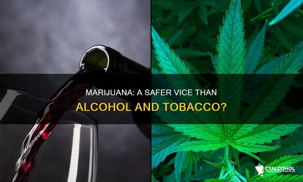 Marijuana: A Safer Vice Than Alcohol And Tobacco? | CyAlcohol