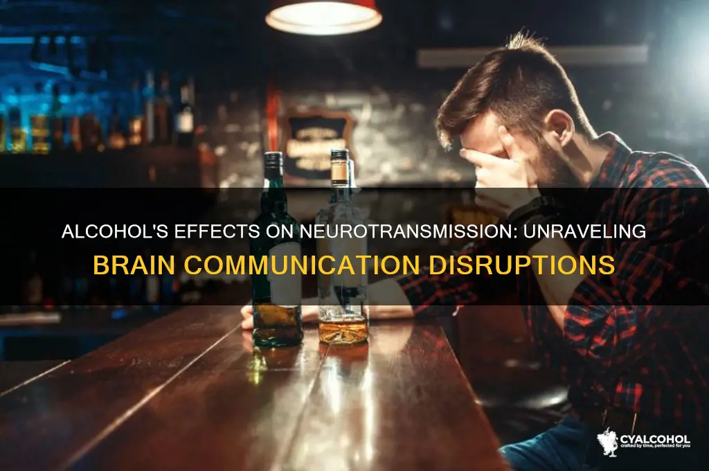 Alcohol's Effects On Neurotransmission: Unraveling Brain Communication ...