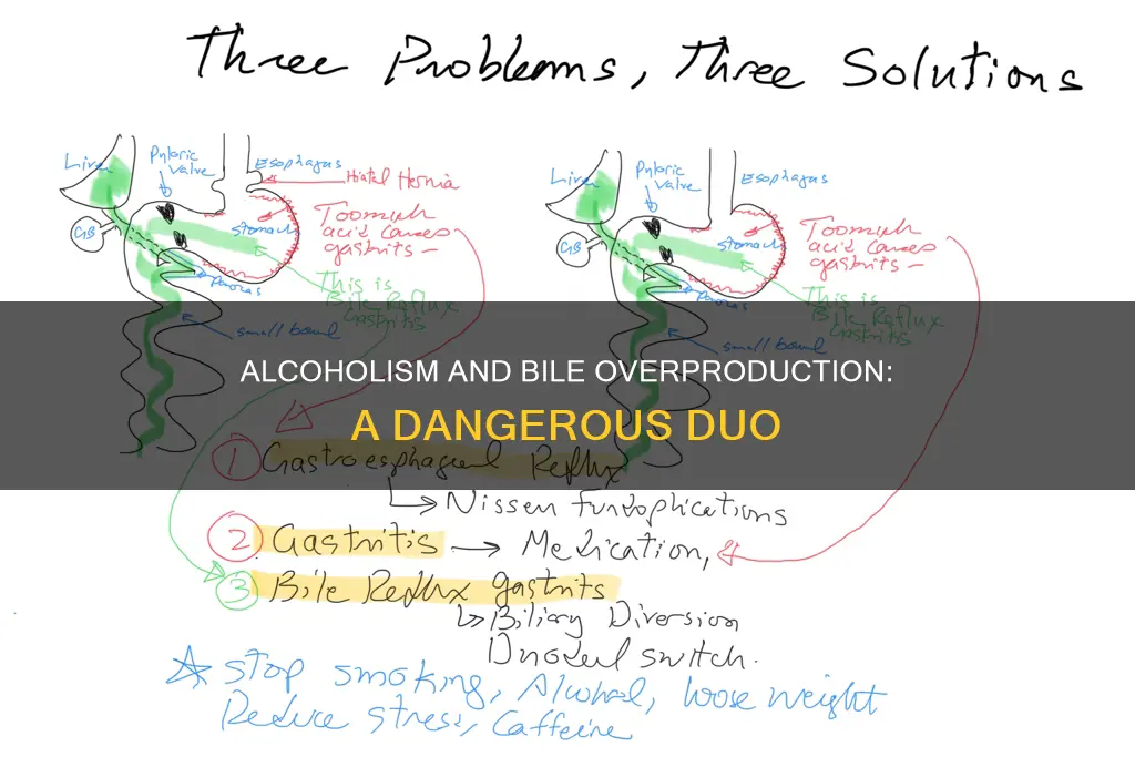 Alcoholism And Bile Overproduction: A Dangerous Duo | CyAlcohol