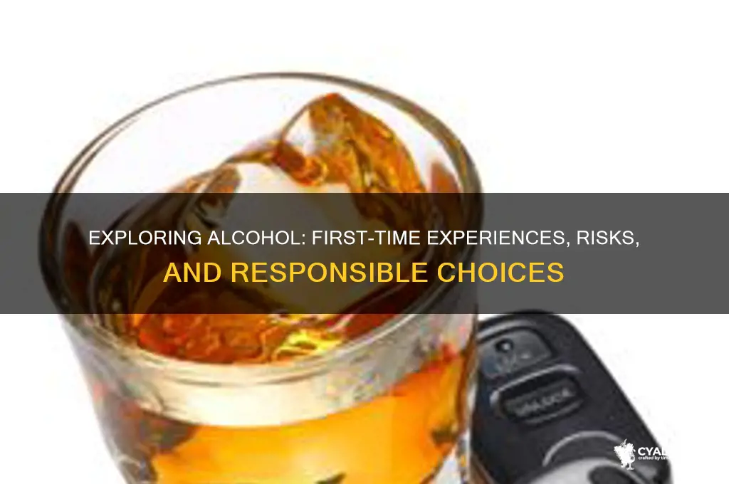 Exploring Alcohol: First-Time Experiences, Risks, And Responsible ...