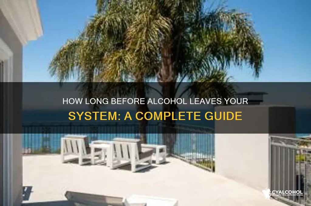 How Long Before Alcohol Leaves Your System: A Complete Guide | CyAlcohol