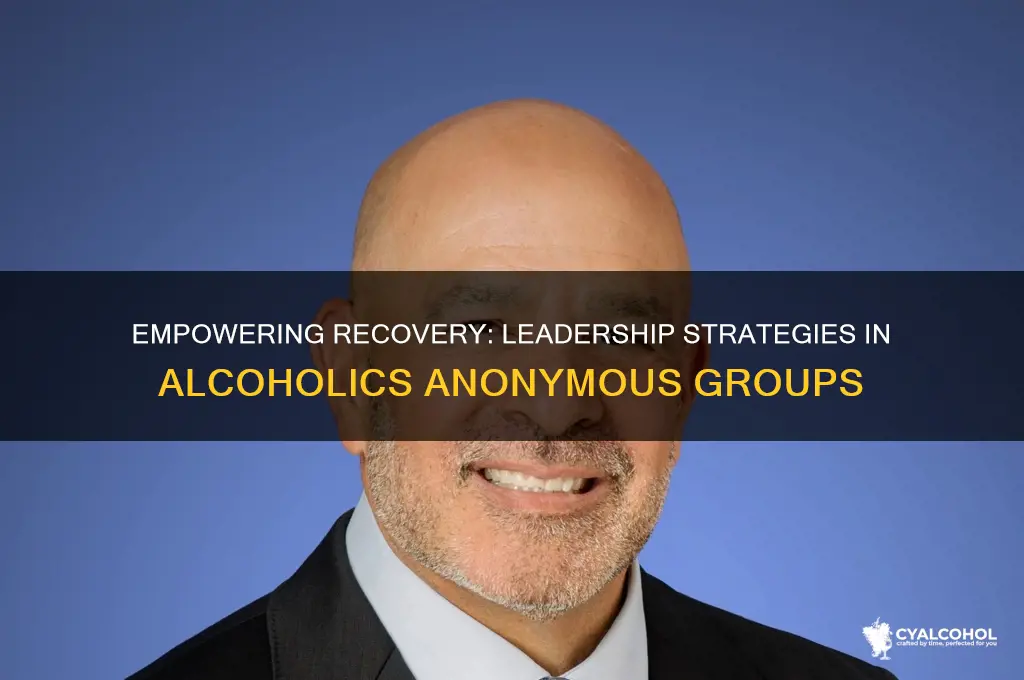 Empowering Recovery: Leadership Strategies In Alcoholics Anonymous ...