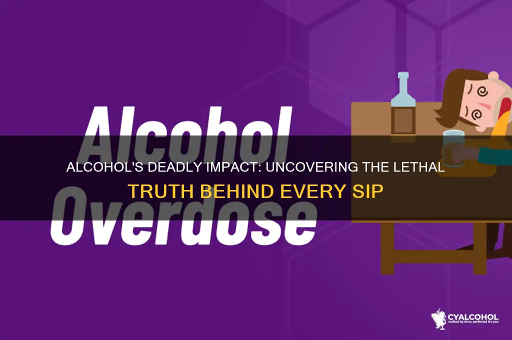 Alcohol's Deadly Impact: Uncovering The Lethal Truth Behind Every Sip ...