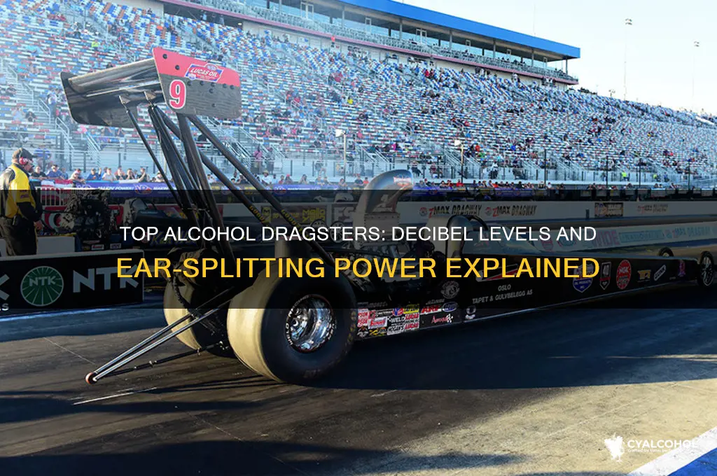 Top Alcohol Dragsters: Decibel Levels And Ear-Splitting Power Explained ...