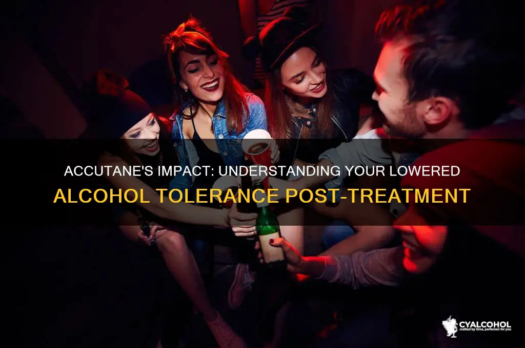 Accutane's Impact: Understanding Your Lowered Alcohol Tolerance Post ...