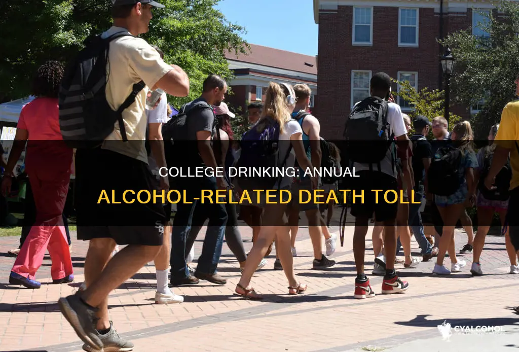 College Drinking: Annual Alcohol-Related Death Toll | CyAlcohol