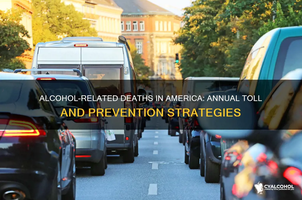Alcohol-Related Deaths In America: Annual Toll And Prevention ...