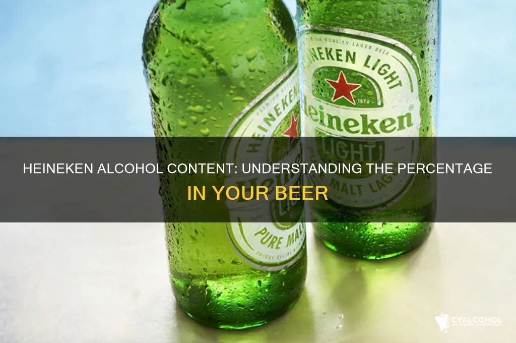 Heineken Alcohol Content: Understanding The Percentage In Your Beer ...