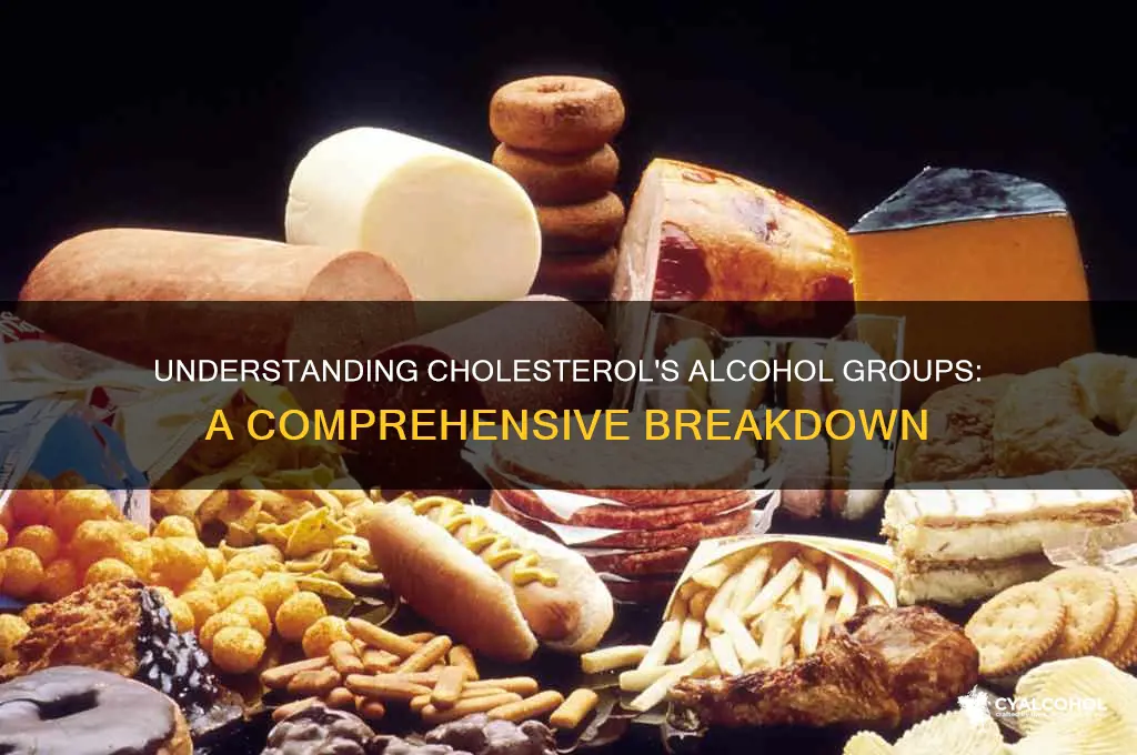 Understanding Cholesterol's Alcohol Groups: A Comprehensive Breakdown ...