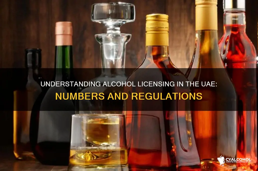 Understanding Alcohol Licensing In The Uae: Numbers And Regulations ...