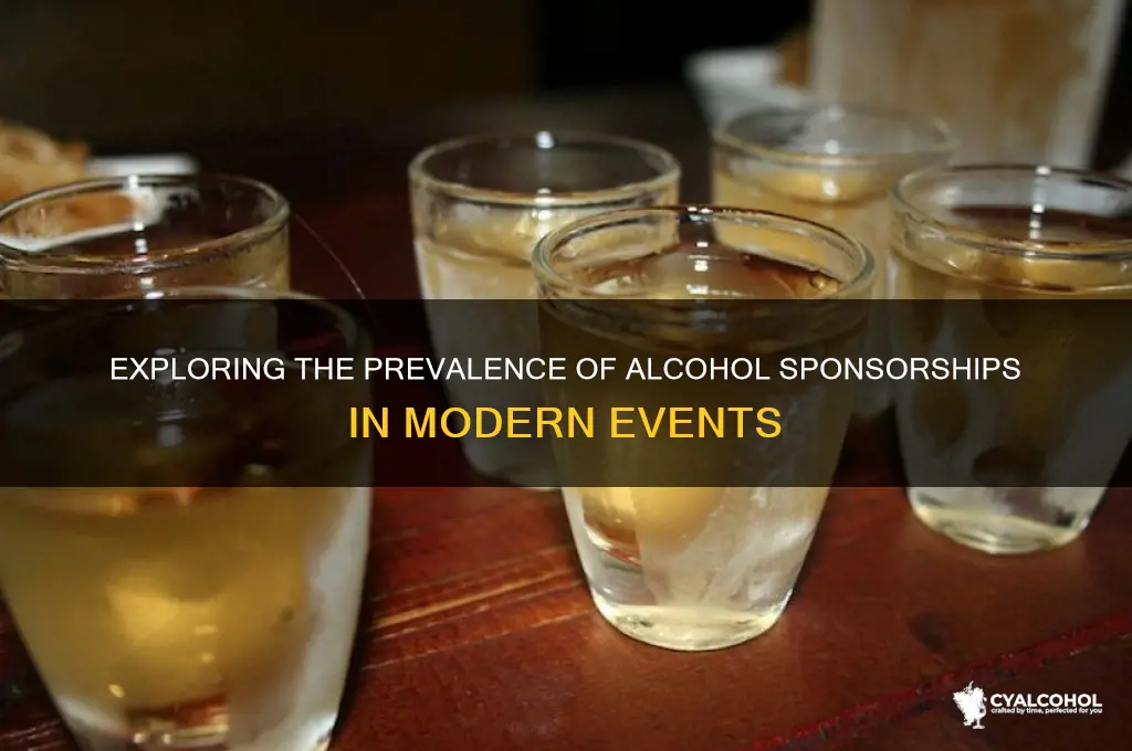 Exploring The Prevalence Of Alcohol Sponsorships In Modern Events ...