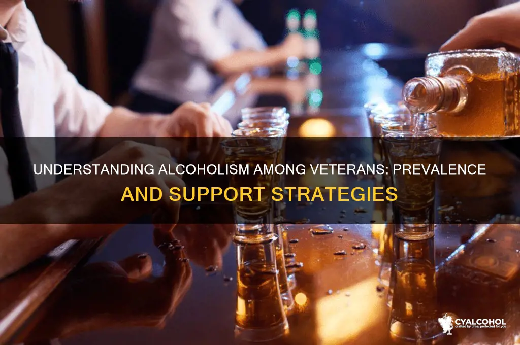 Understanding Alcoholism Among Veterans: Prevalence And Support ...