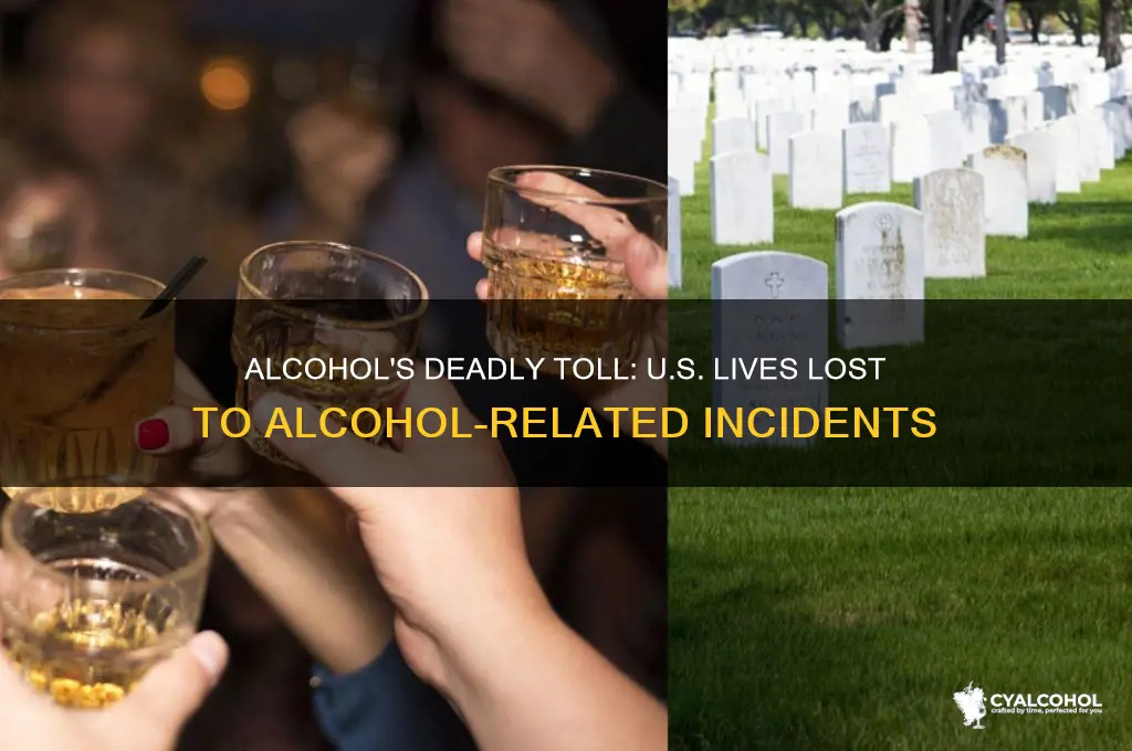 Alcohol's Deadly Toll: U.S. Lives Lost To Alcohol-Related Incidents ...