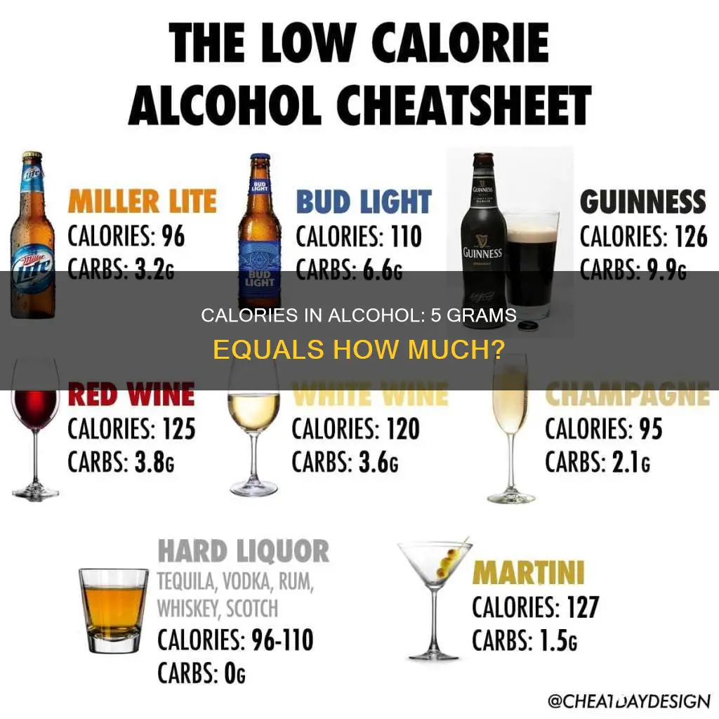 Calories In Alcohol: 5 Grams Equals How Much? | CyAlcohol
