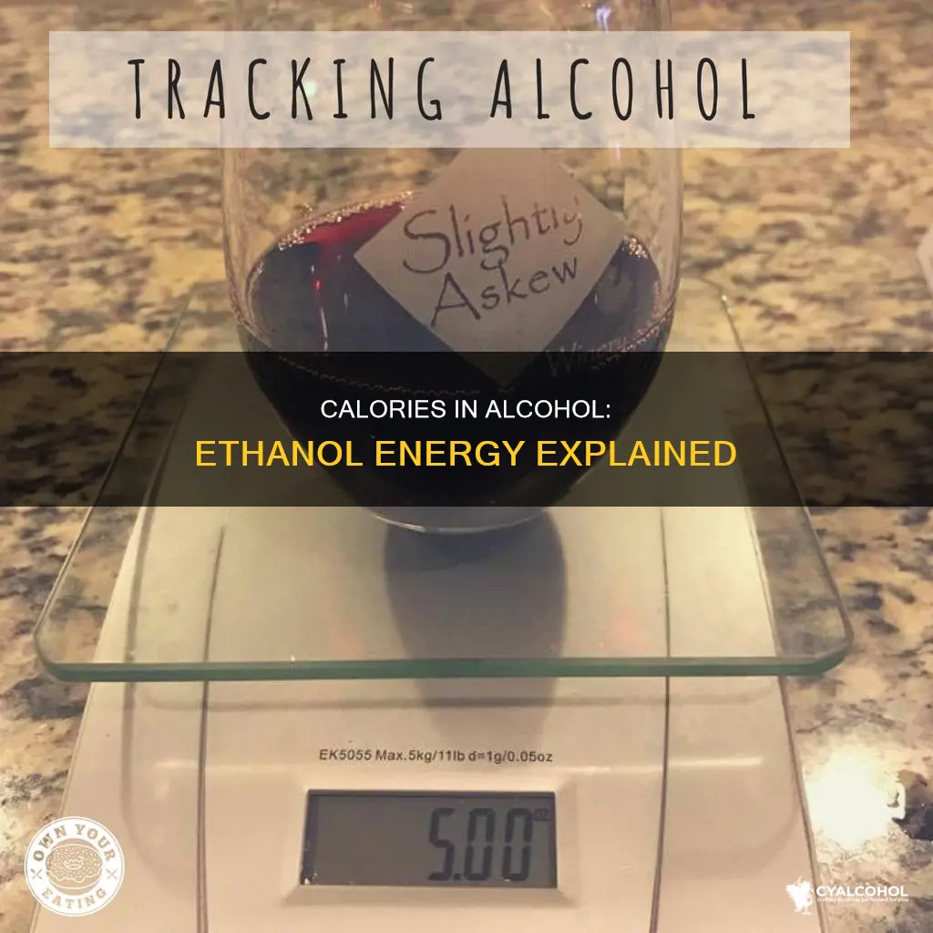 Calories In Alcohol: Ethanol Energy Explained | CyAlcohol