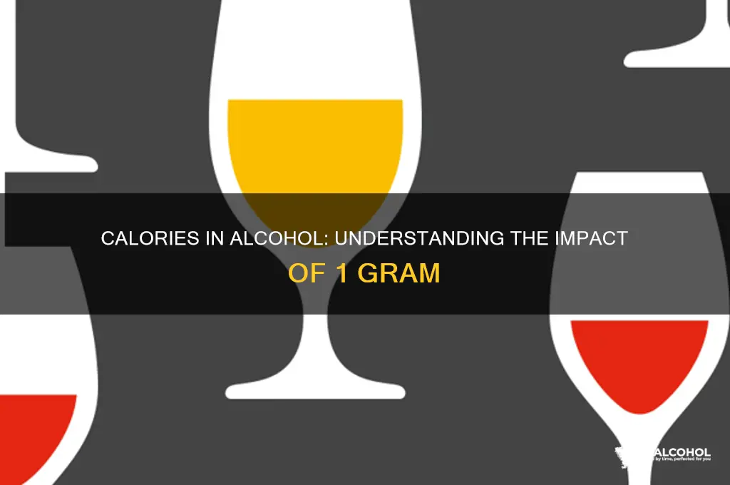 Calories In Alcohol: Understanding The Impact Of 1 Gram | CyAlcohol