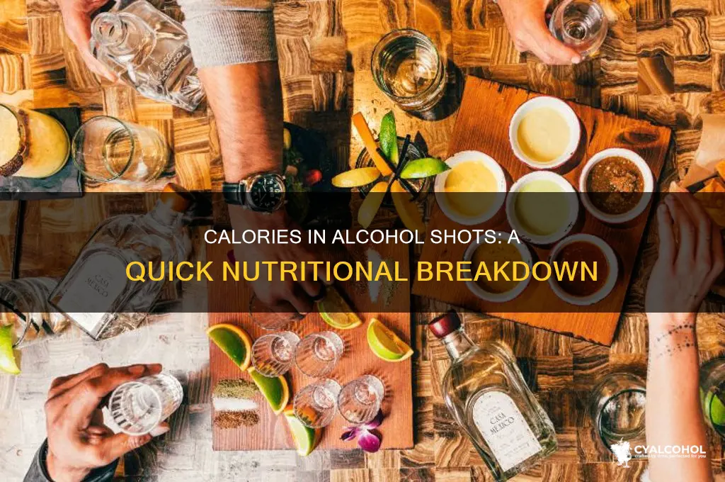 Calories In Alcohol Shots: A Quick Nutritional Breakdown | CyAlcohol
