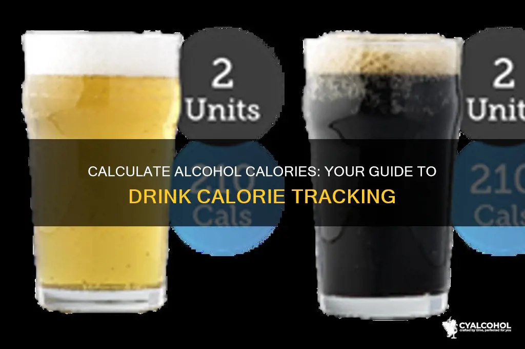 Calculate Alcohol Calories: Your Guide To Drink Calorie Tracking ...