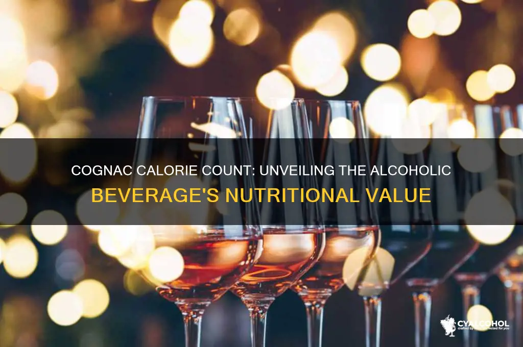 Cognac Calorie Count: Unveiling The Alcoholic Beverage's Nutritional ...