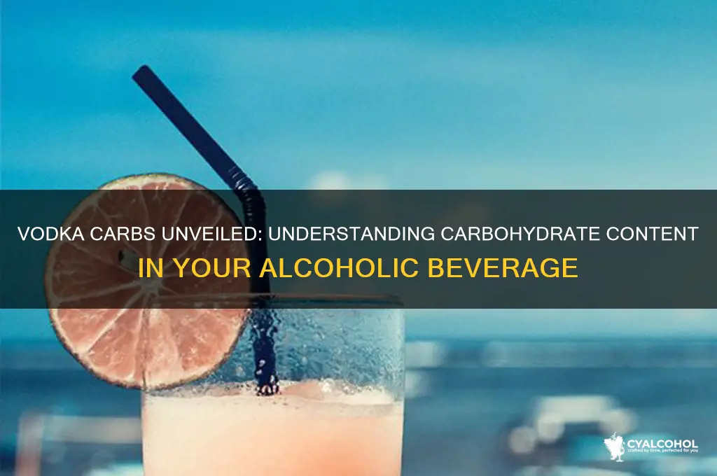 Vodka Carbs Unveiled: Understanding Carbohydrate Content In Your ...