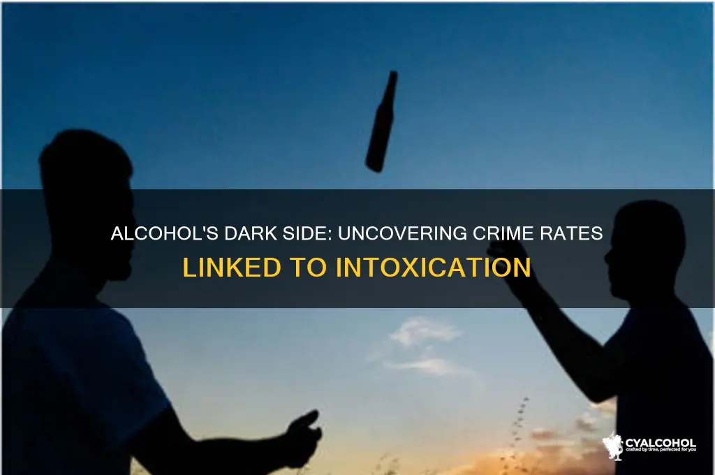 Alcohol's Dark Side: Uncovering Crime Rates Linked To Intoxication ...