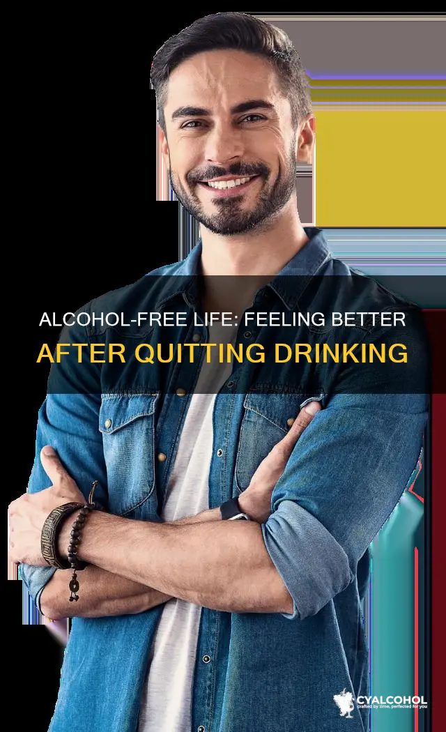 Alcohol-Free Life: Feeling Better After Quitting Drinking | CyAlcohol