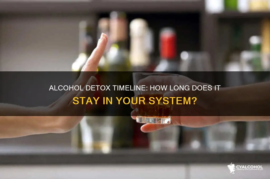 Alcohol Detox Timeline: How Long Does It Stay In Your System? | CyAlcohol
