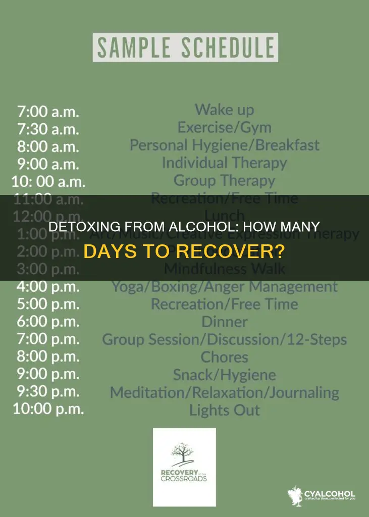 Detoxing From Alcohol: How Many Days To Recover? | CyAlcohol