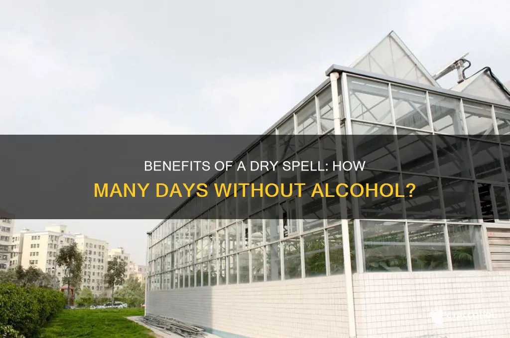 Benefits Of A Dry Spell: How Many Days Without Alcohol? | CyAlcohol