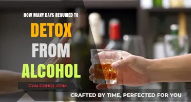 Alcohol Detox Timeline: How Long Does It Stay In Your System? | CyAlcohol